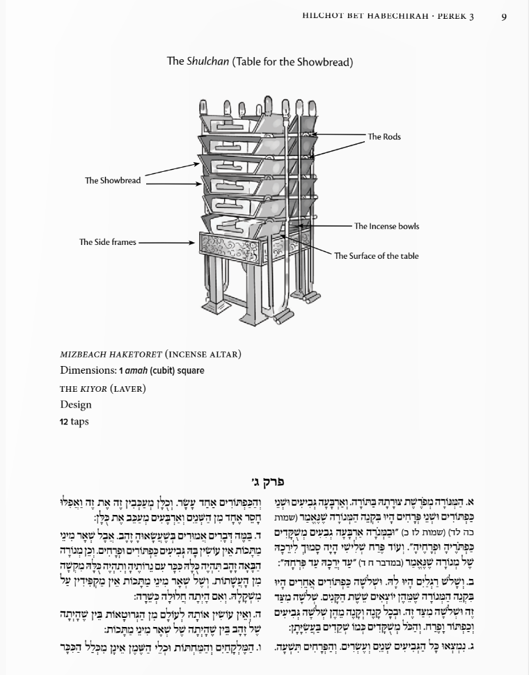 Studying Rambam - 11 Volume Set-store.kehotonline.com