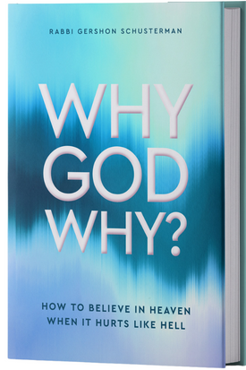 Why God Why? (Schusterman)-store.kehotonline.com